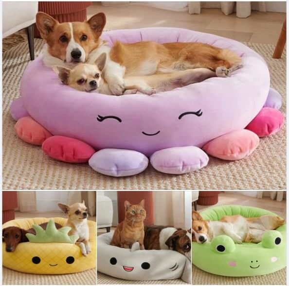 Adorable Squishmallows Pet Beds as low as $31 Shipped on Amazon ...