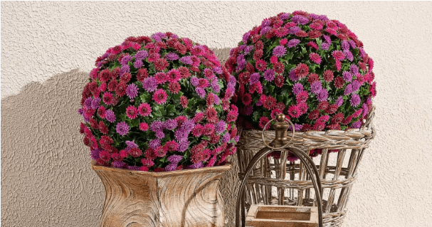 Faux Mum Spheres 2-Pack from $40.48 Shipped - I Love Mine - Couponing ...
